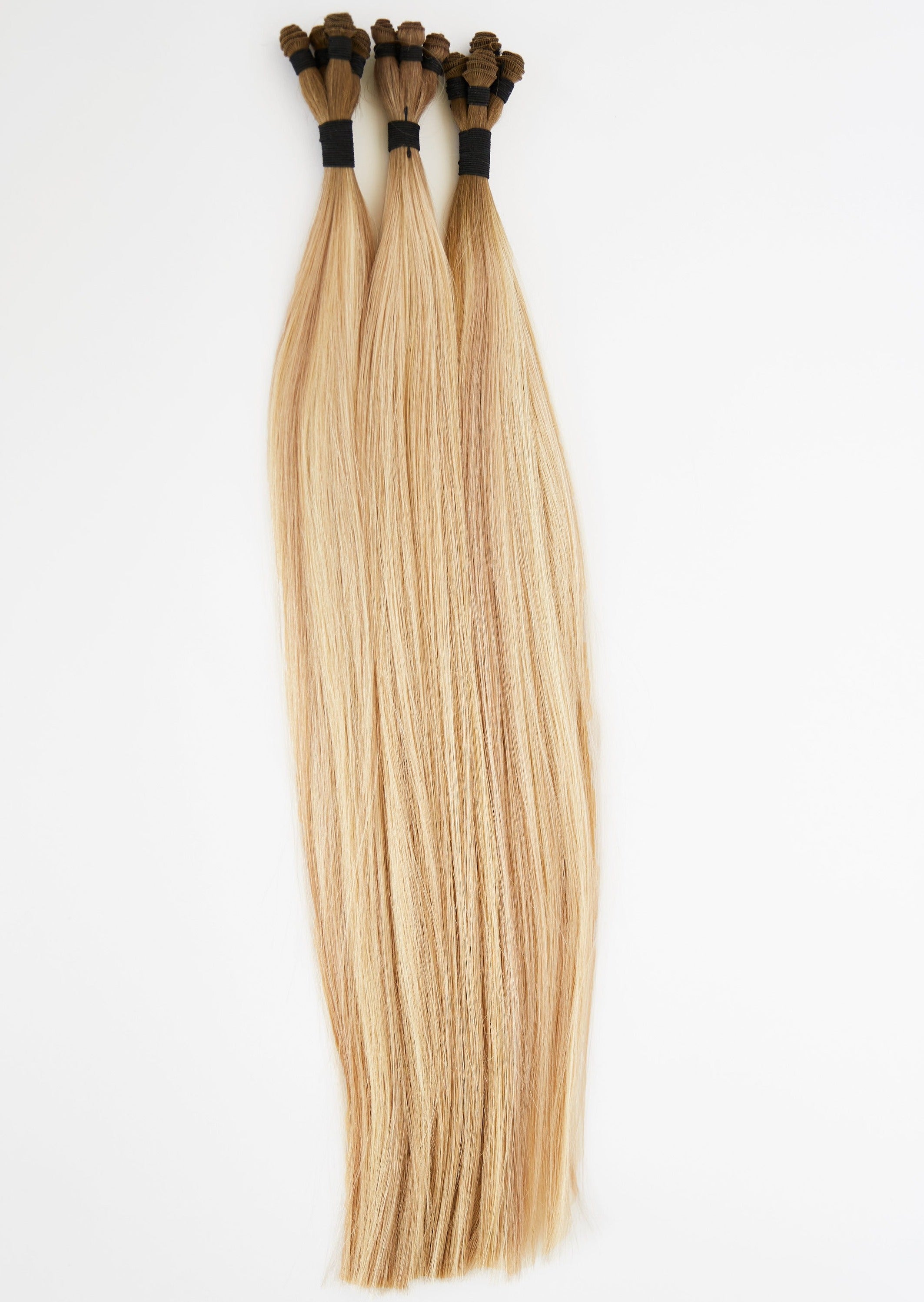 Mane + Stitch Hair Extensions