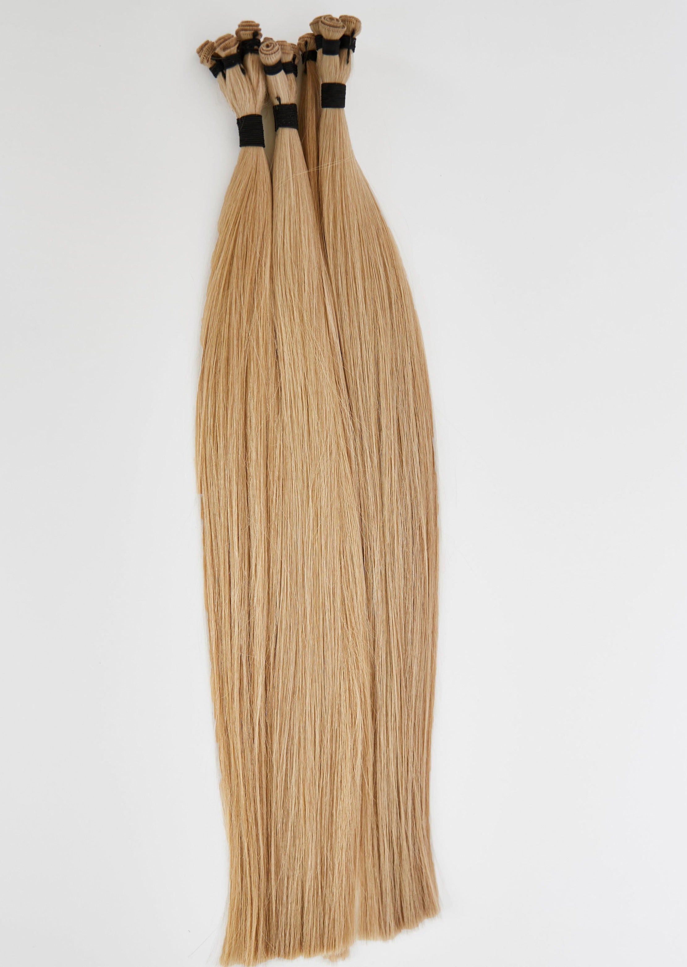 Mane + Stitch Hair Extensions