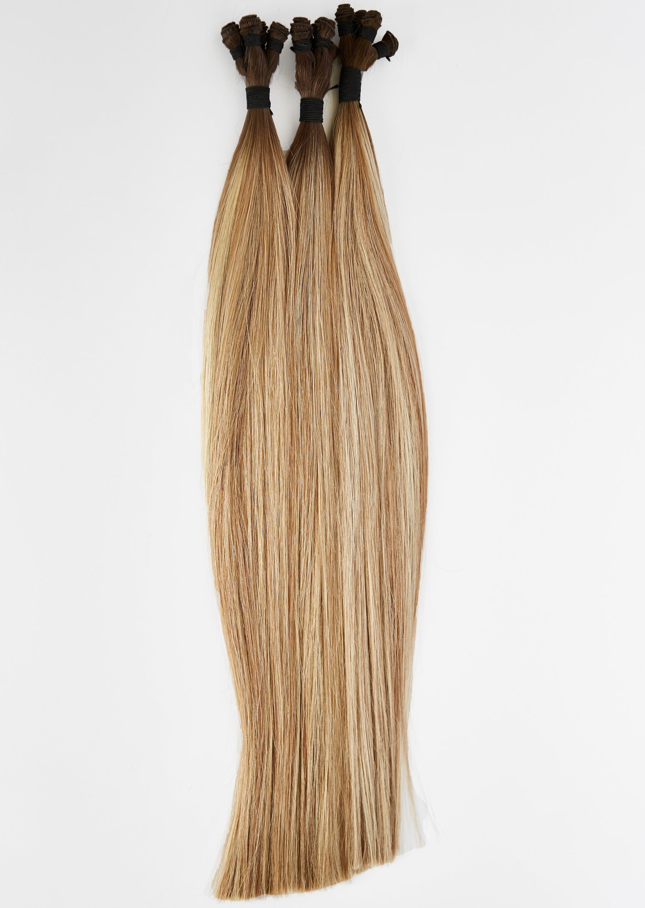 Mane + Stitch Hair Extensions